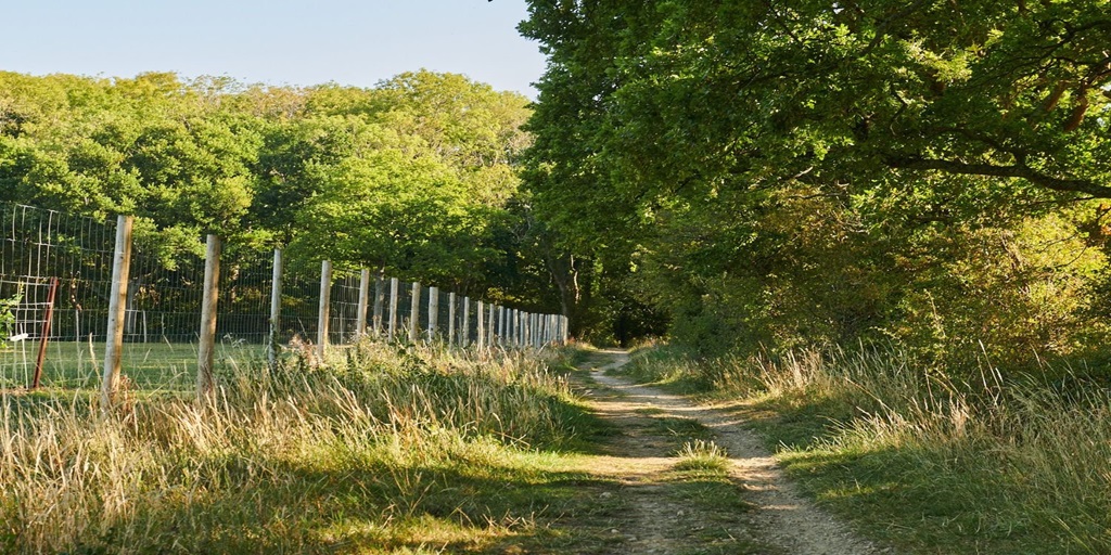 About The Place Walking Trails - Metrobus