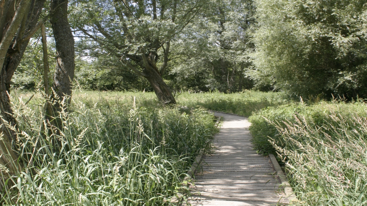 Warnham Nature Reserve - Metrobus