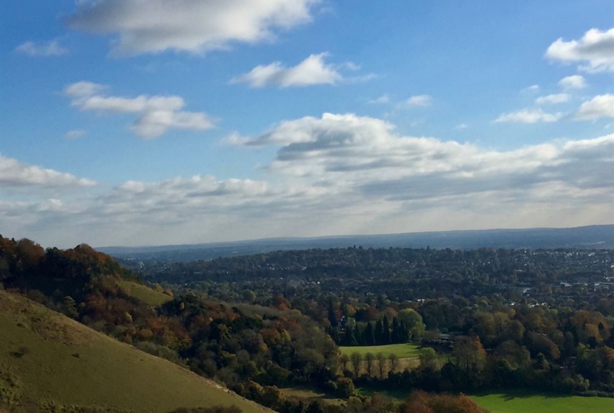 Reigate Hill - Metrobus