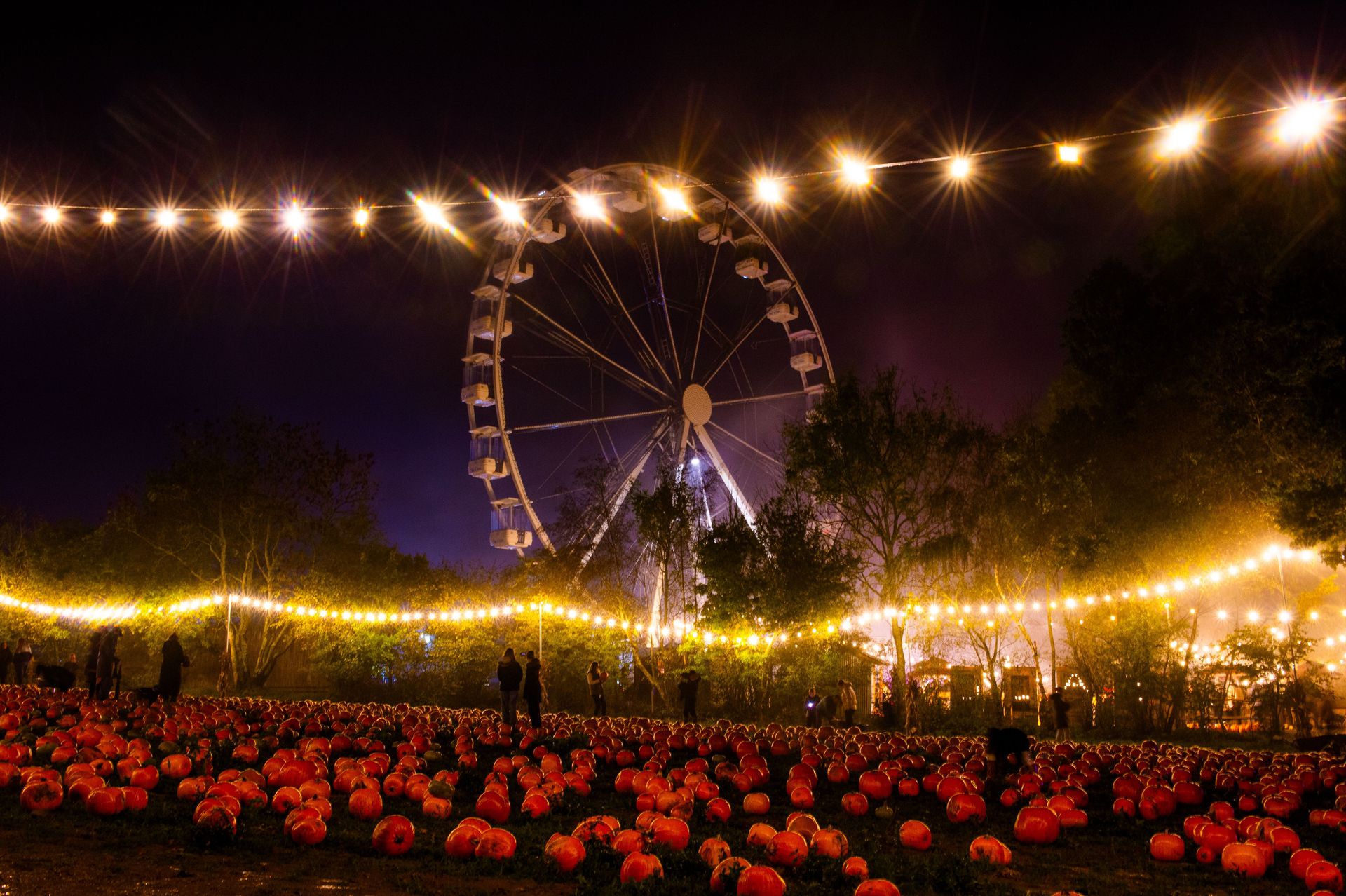 Tulleys Pumpkin Nights Festival - Metrobus