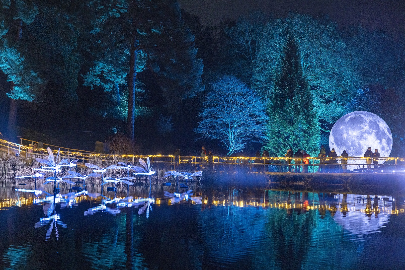 Leonardslee Lights - Metrobus