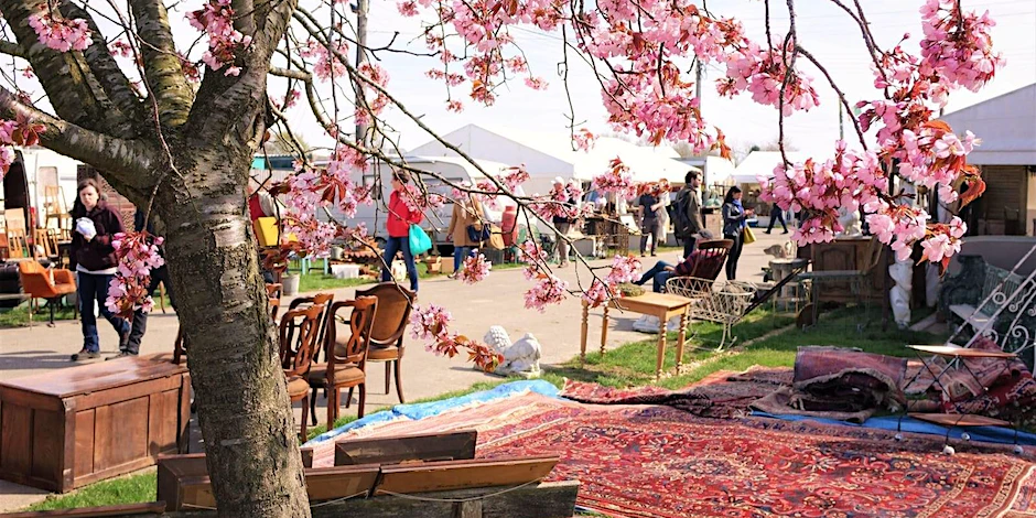 Ardingly Antiques Fair - Metrobus