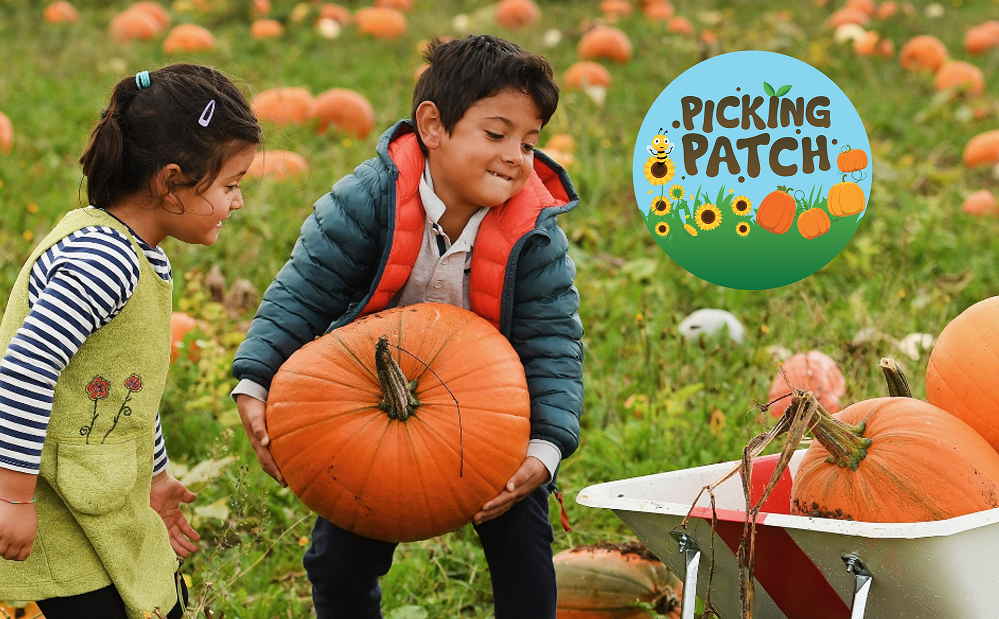 Picking Patch Brighton - Metrobus